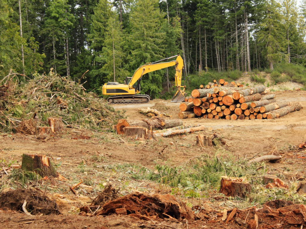 Rethinking Packaging: The Sustainable Case for Expanded Polystyrene ...