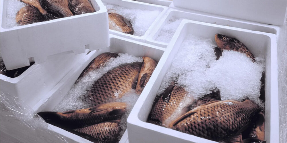 Cold Chain Technology – Polyfoam